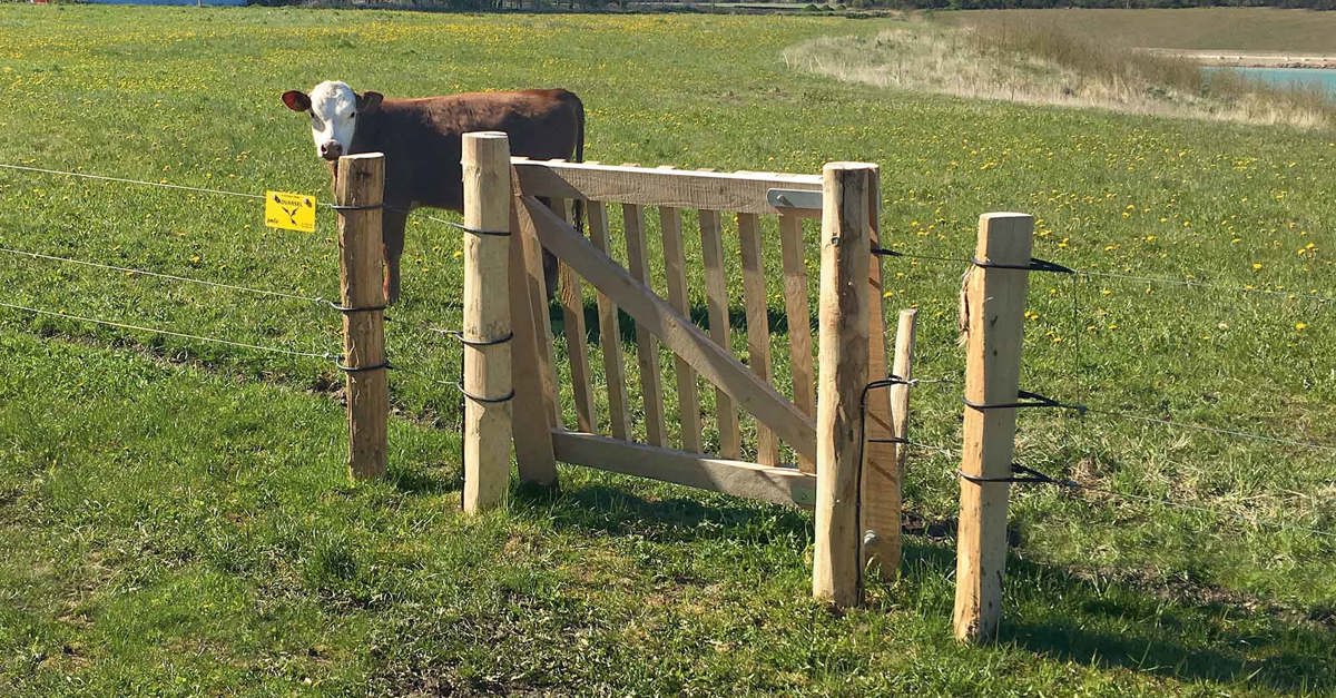 Poda Hegn I Klaplåge - En solid og praktisk selvlukkende låge
